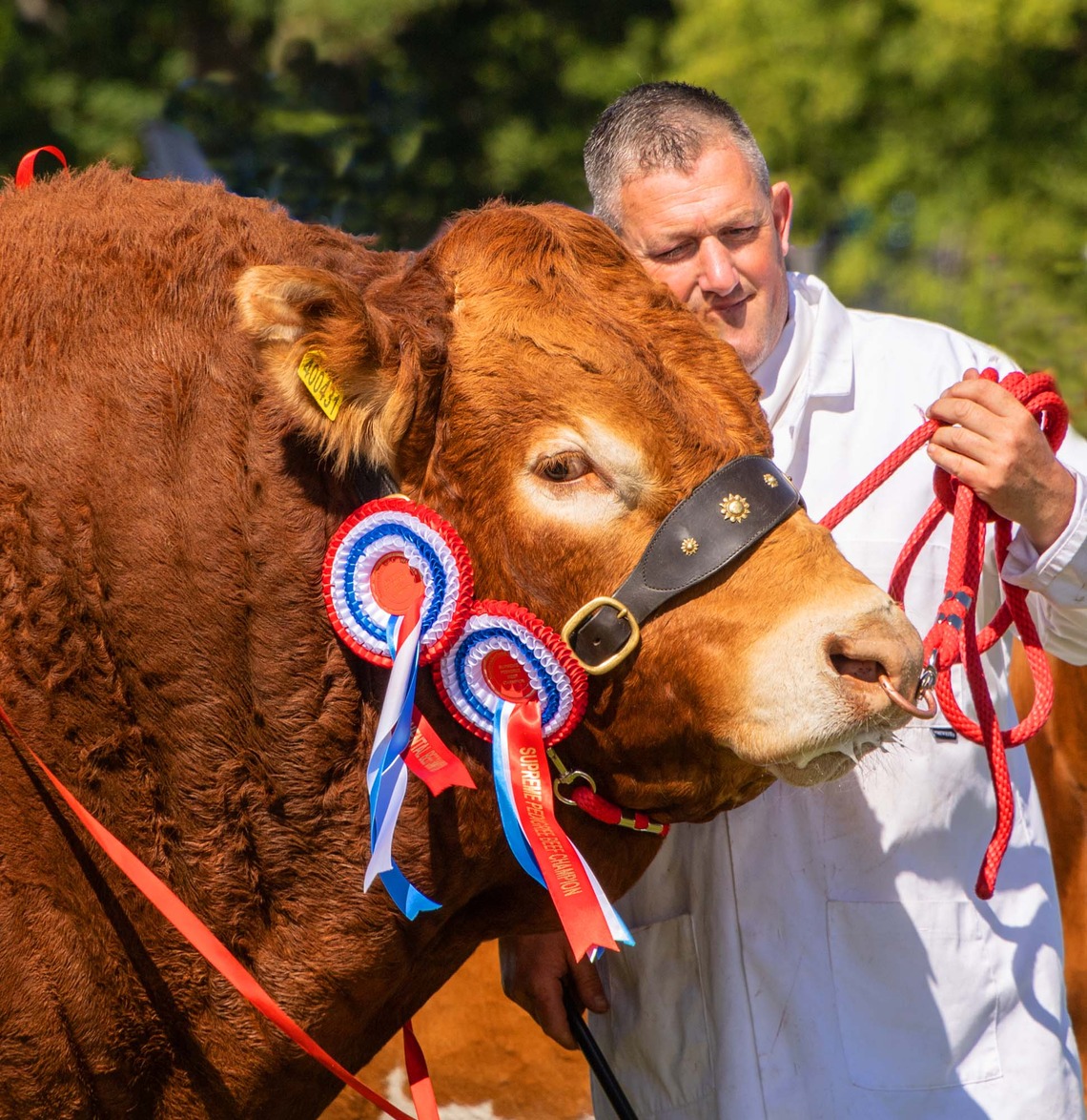Photographing the County Show 2022 - Hexham District Photographic Society