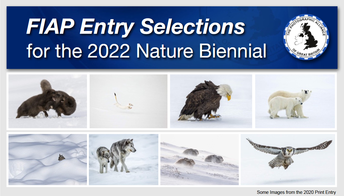 FIAP Entry Selections for the 2022 Nature Biennial - Hexham District ...