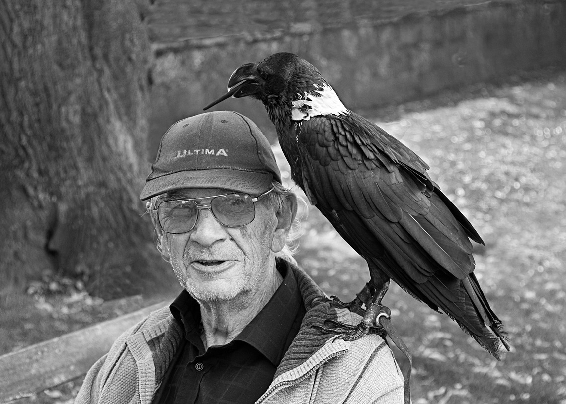 NCPF Annual Competition 2022 - Hexham District Photographic Society